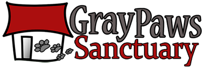 Gray Paws Sanctuary – Providing caring homes for older dogs